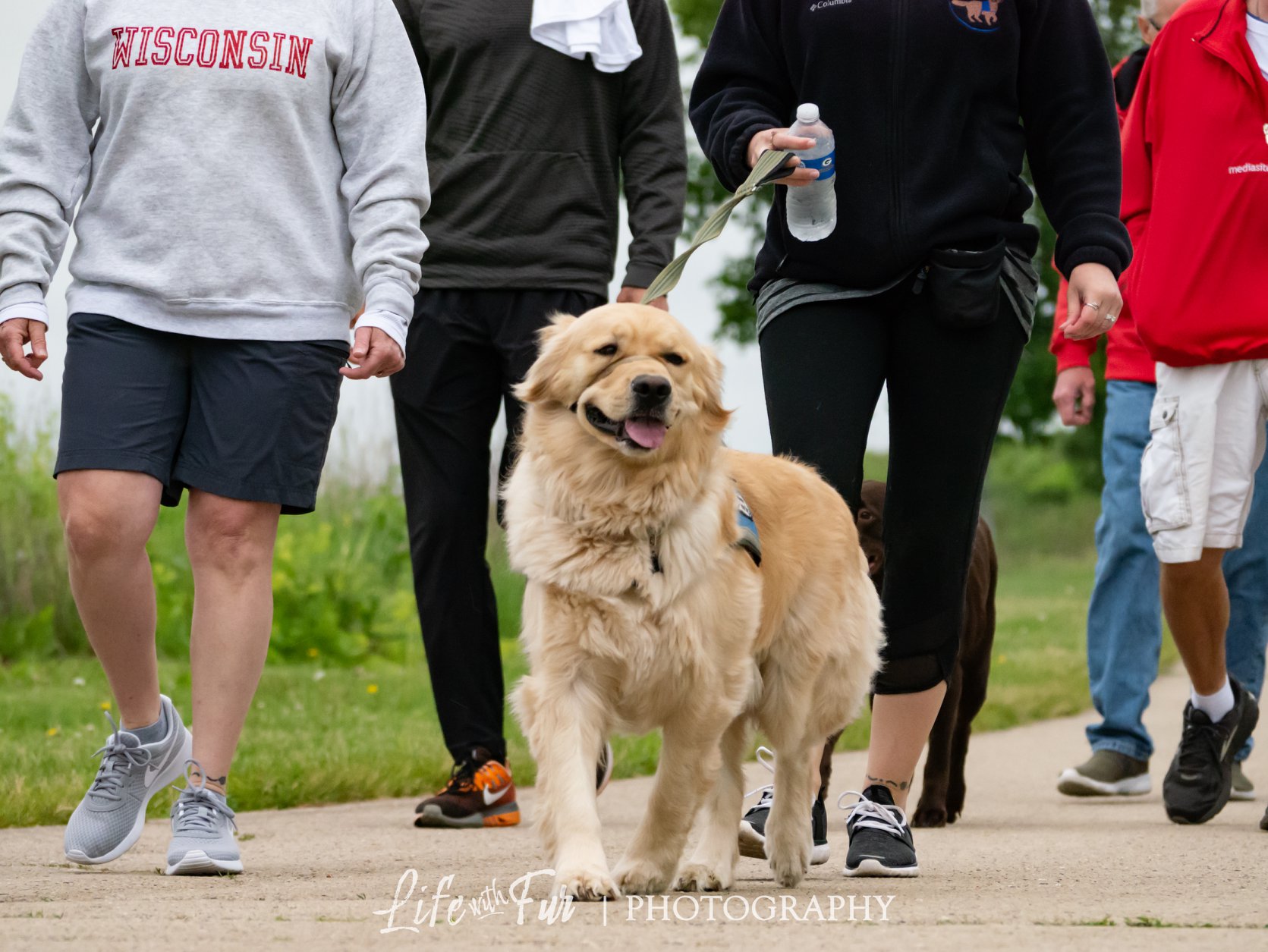 WAGS Annual Dog Walk - WAGS, Inc.